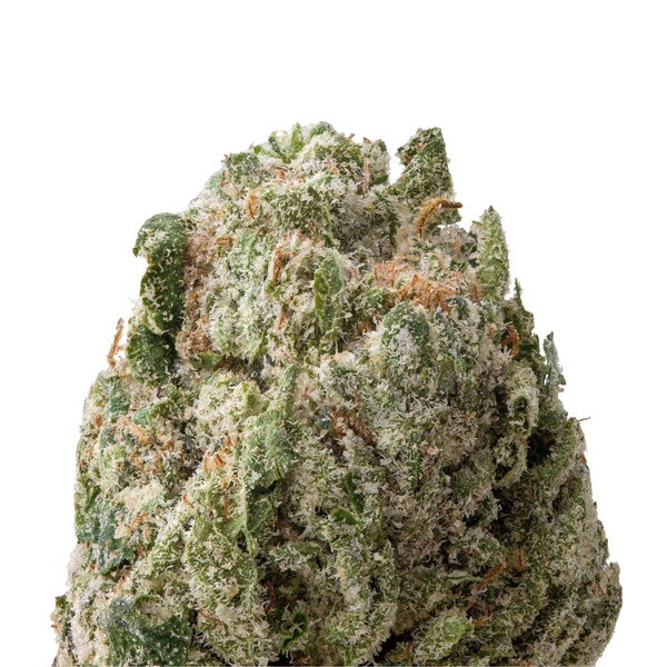 Candyland THCa Flower | Premium and Exotic Strains
